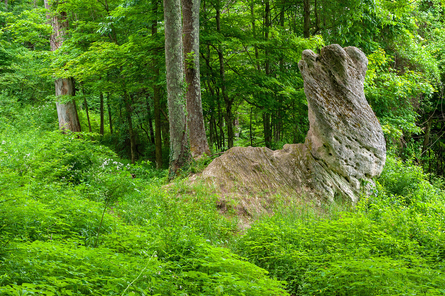 Tyringham Cobble | Eric Bailey Photography