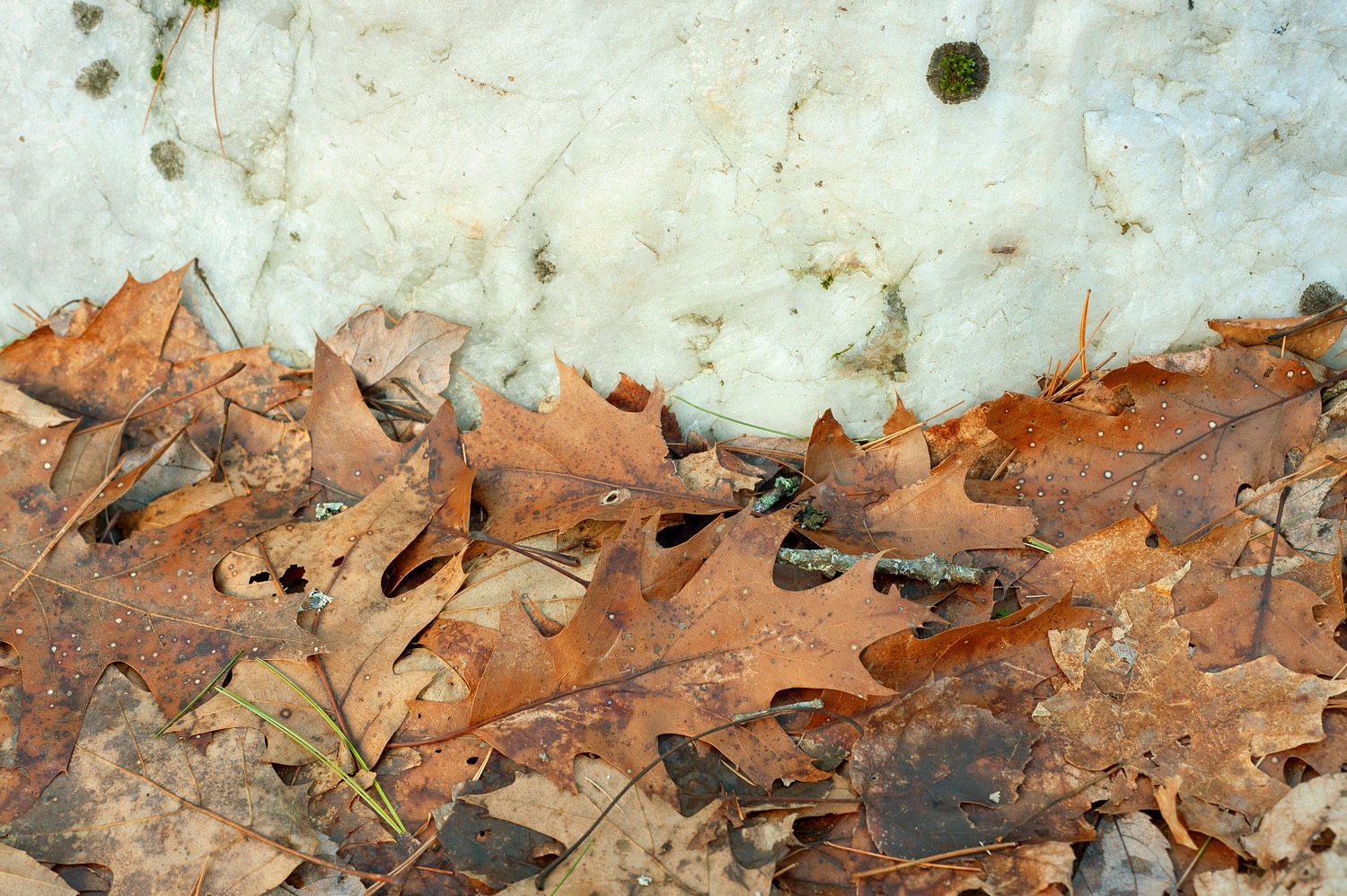 Quartz Boulder | Eric Bailey Photography