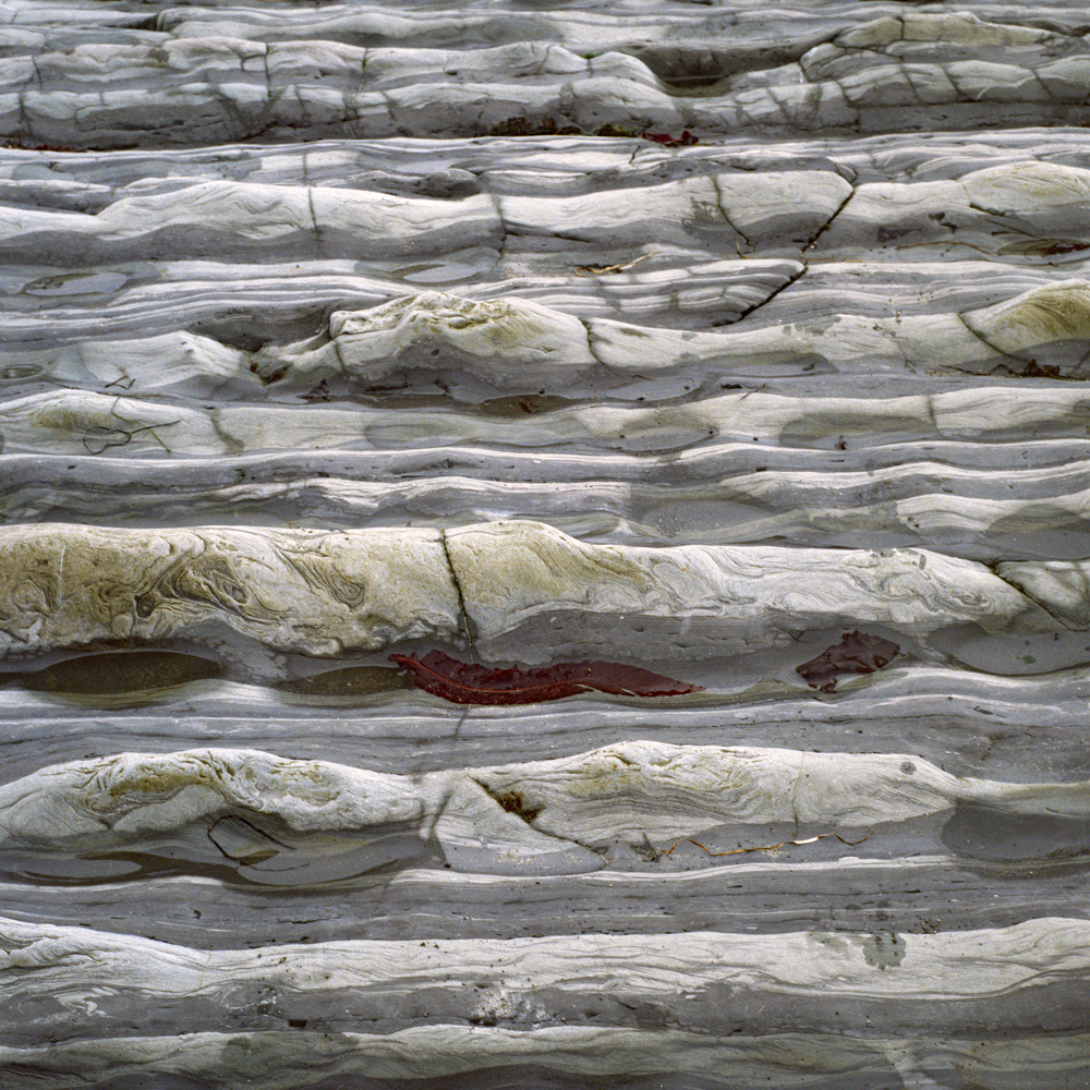 Home | Eric Bailey Photography