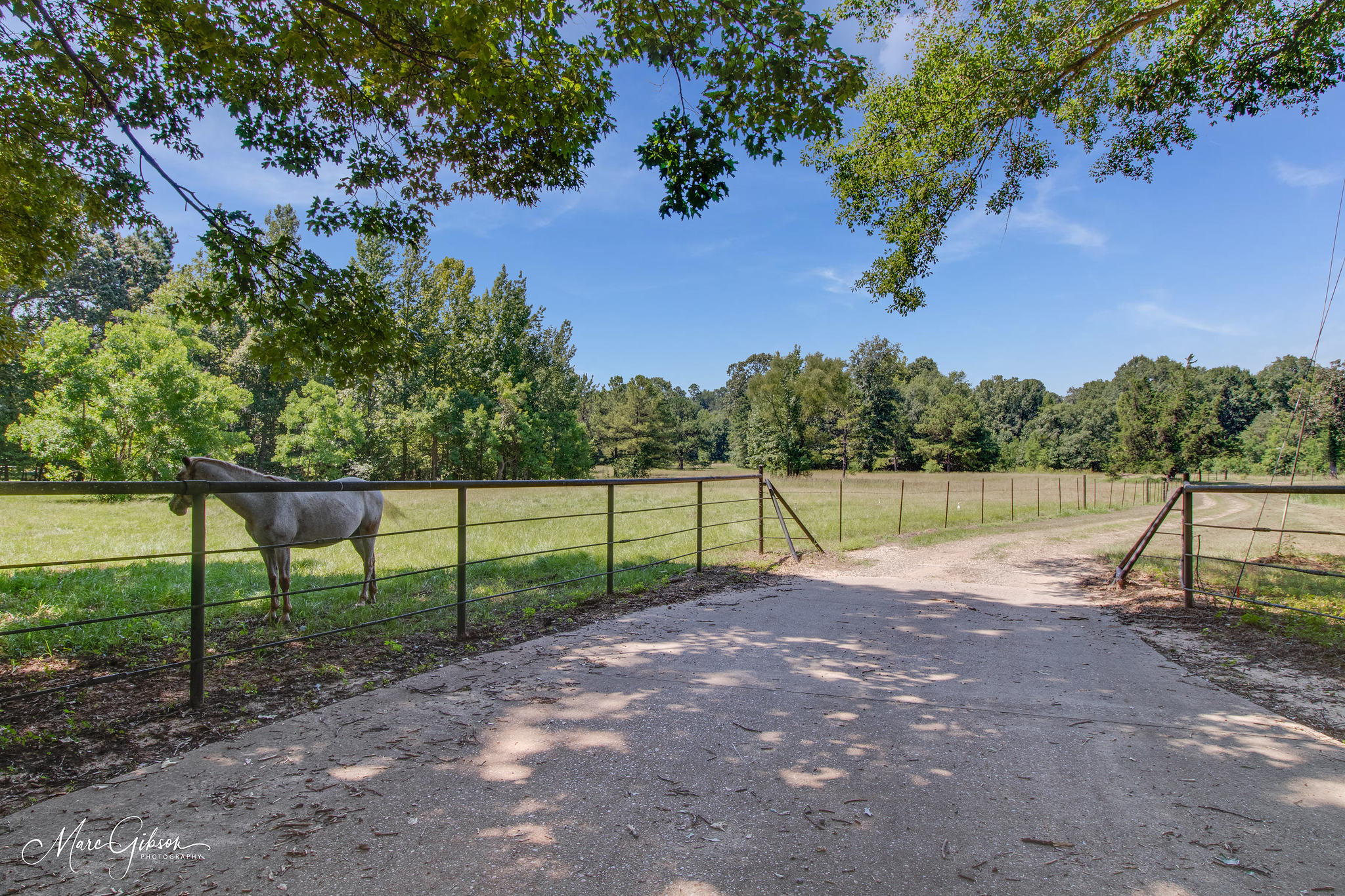 170 Deer Trail | Marc Gibson Photography