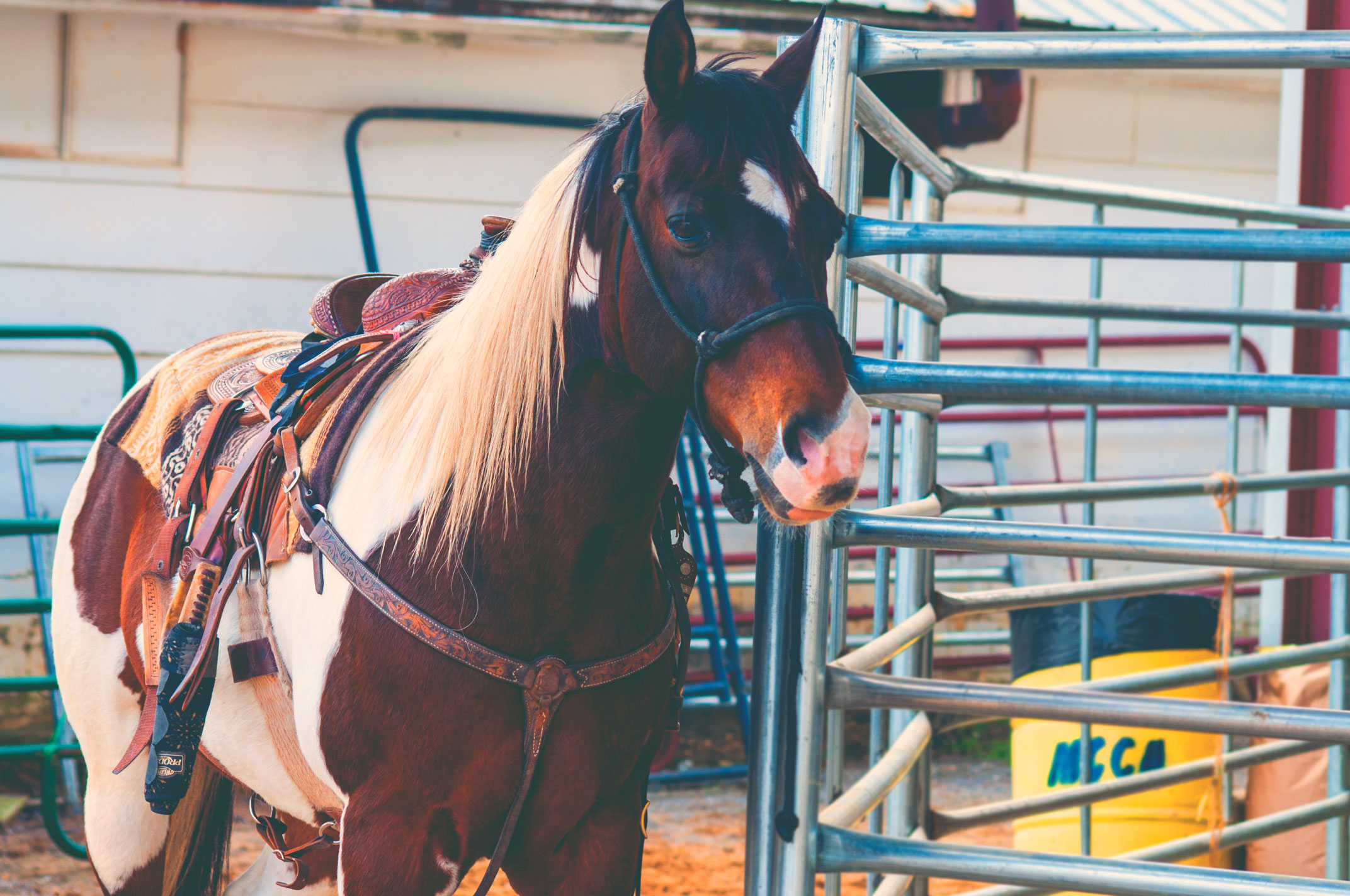 Gallery | Midwest Invitational Rodeo